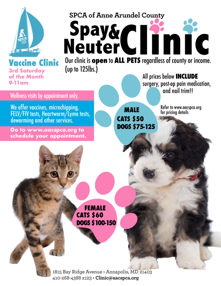 Spay/Neuter Clinic – SPCA of Anne Arundel County