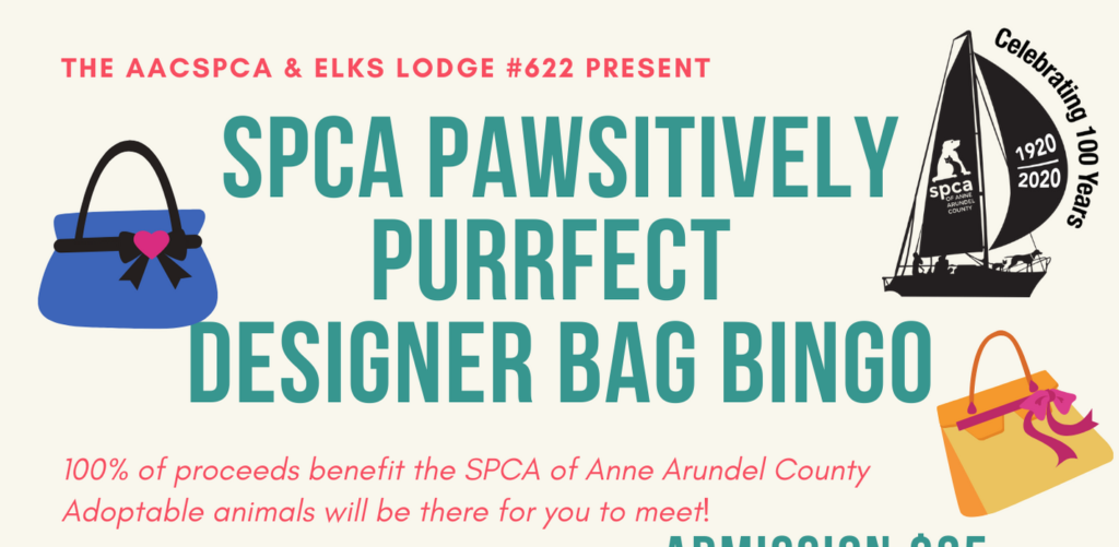 sc – SPCA of Anne Arundel County